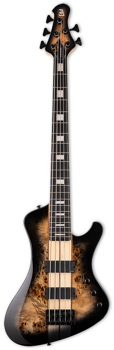 ESP LTD STREAM-1005 Black Natural Burst 5 String Bass Guitar | eBay